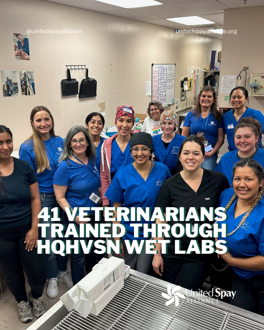 2025 by the Numbers: Strengthening Spay/Neuter Nationwide - United Spay ...