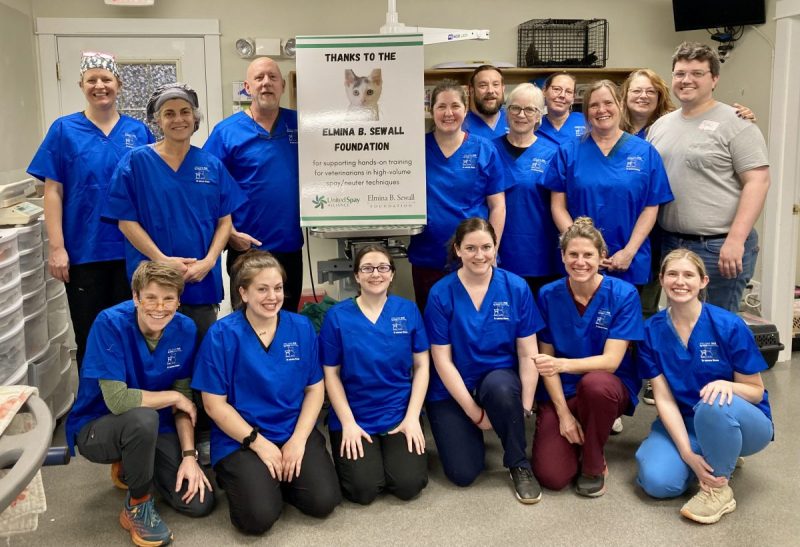 USA Hands-On Learning Wet Lab: Stratford, CT - United Spay Alliance