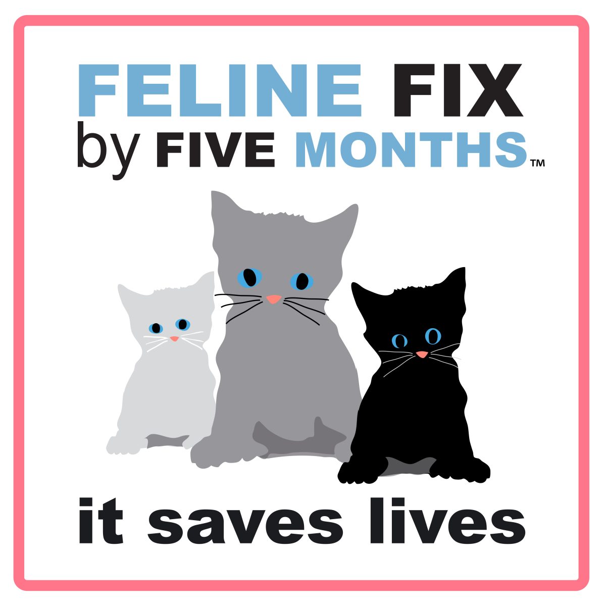 Feline Fix by Five - United Spay Alliance