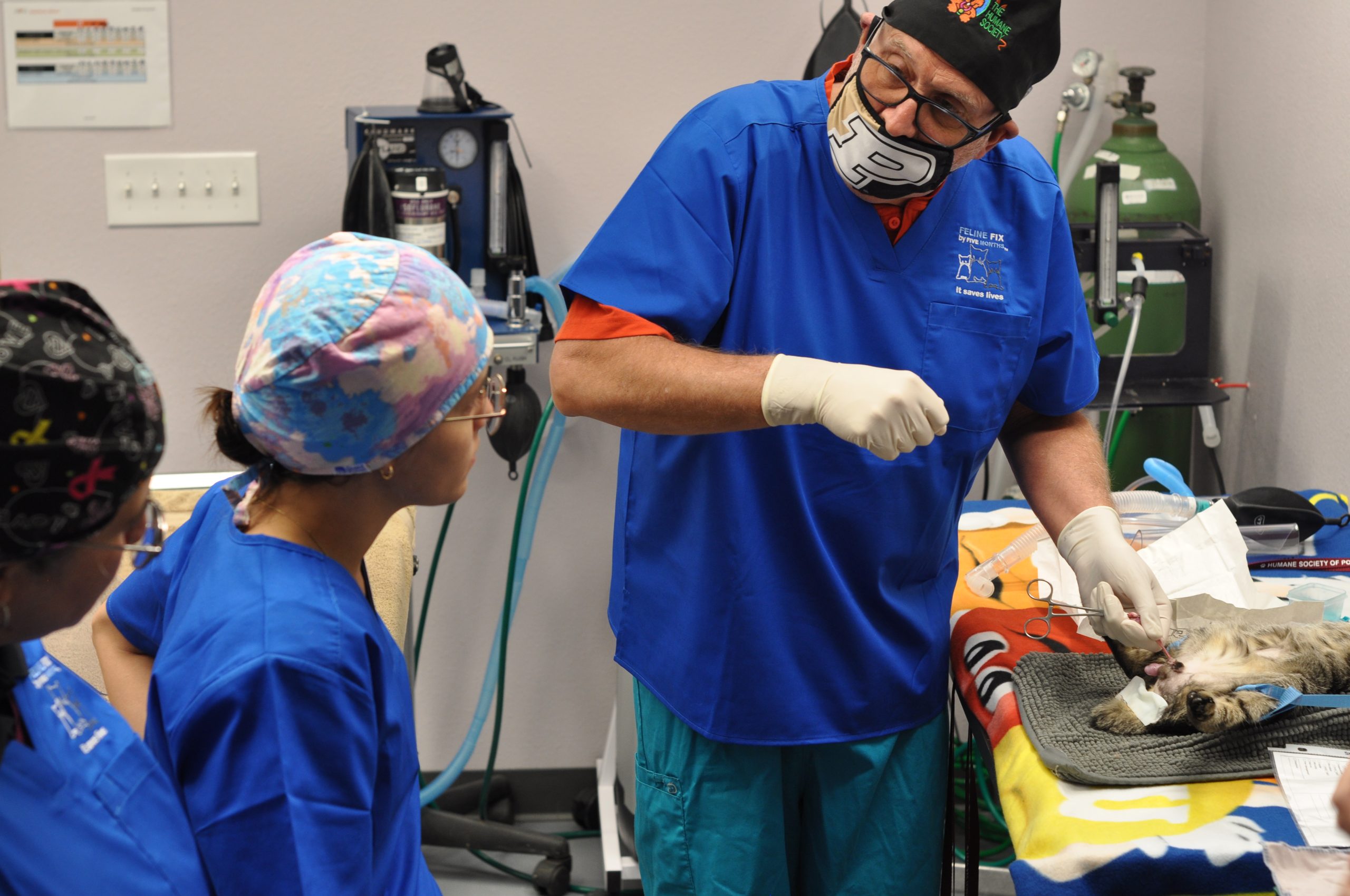 Florida Wet Lab, April 2024 (instruction) - United Spay Alliance