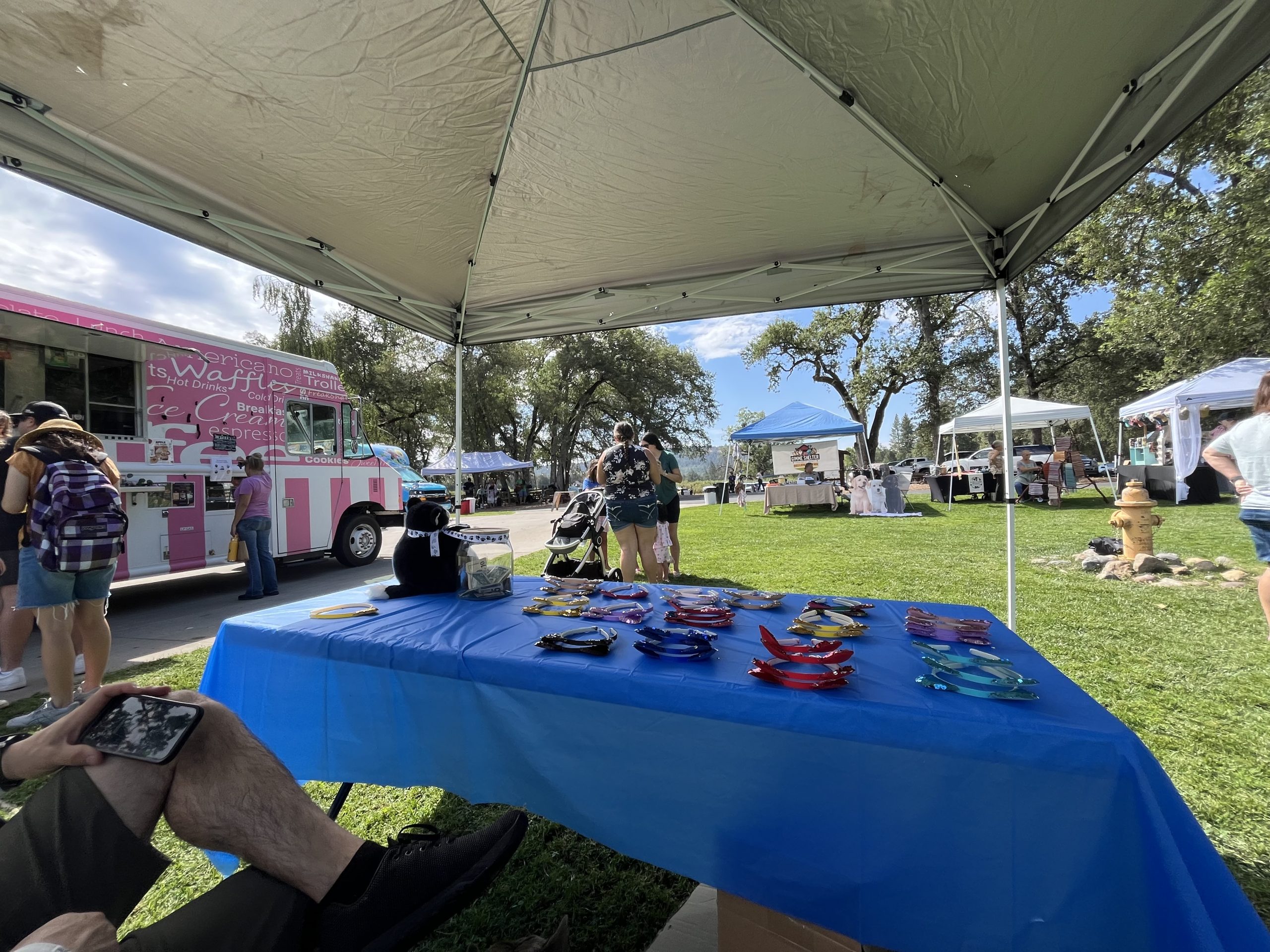 New Grant Cycle Open! Double Your Impact for Cats - United Spay Alliance