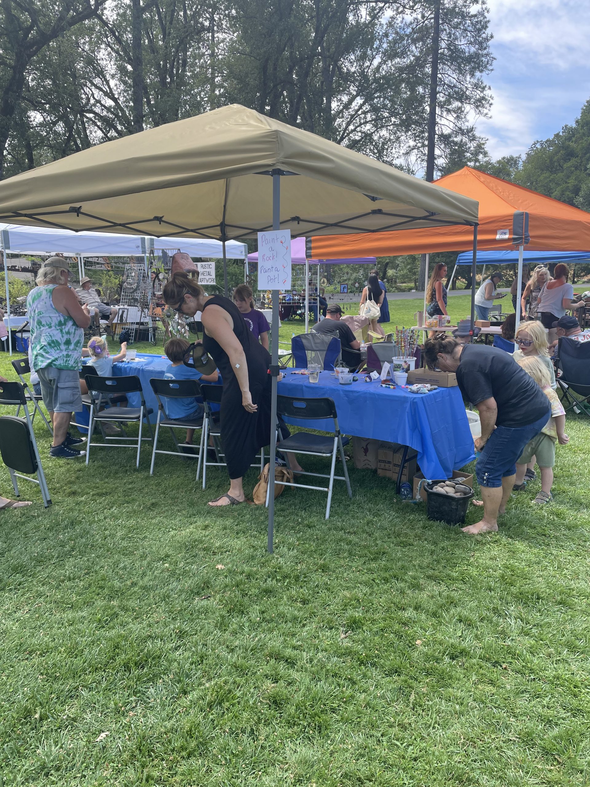 New Grant Cycle Open! Double Your Impact for Cats - United Spay Alliance