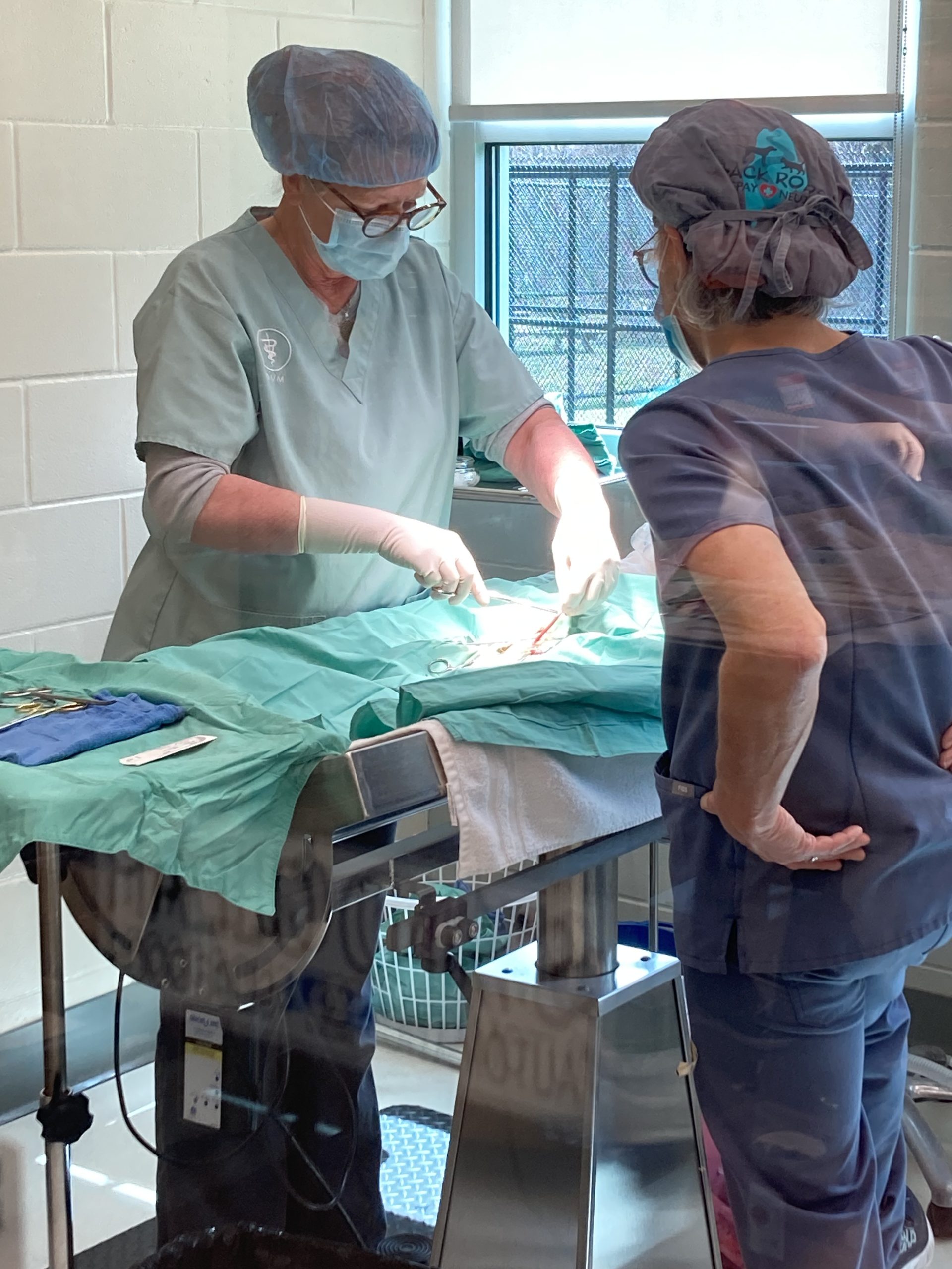 HQHVSN Wet Labs - United Spay Alliance