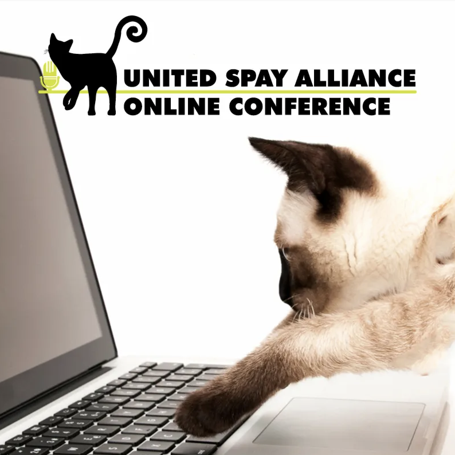 Screenshot 2024-05-23 at 1.26.26 PM - United Spay Alliance