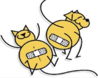 Fix for Life - United Spay Alliance