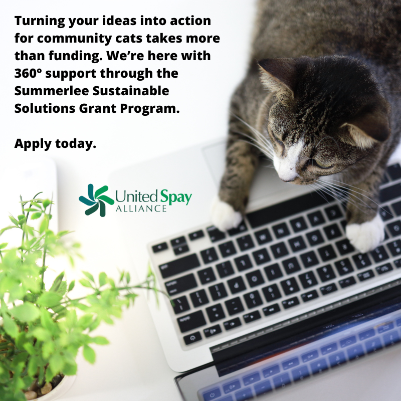 Summerlee Sustainable Solutions Grants - United Spay Alliance