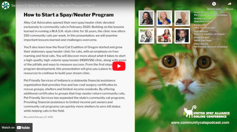 Session 5: How to Start a Spay/Neuter Program part 2 - Panel - United ...